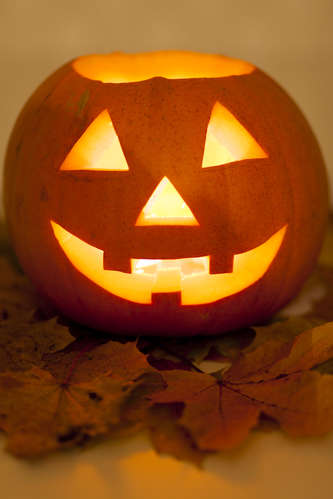 Gratis bilder på pumpa - Högtider